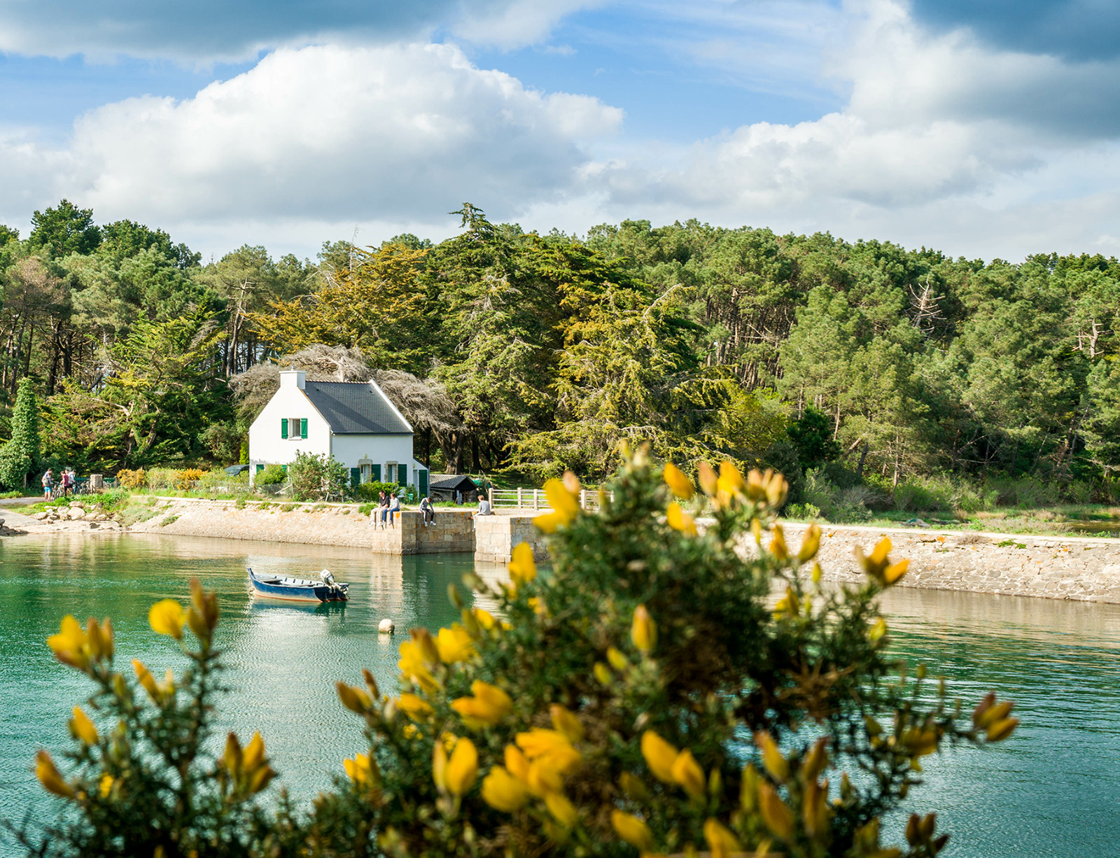 Patrimoine naturel - Ville de Baden